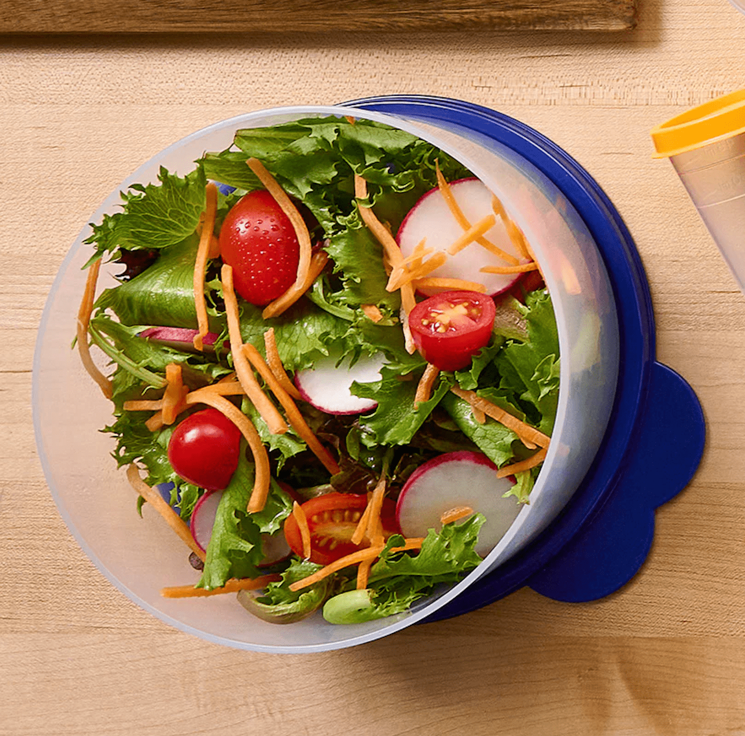 fridge bowl (1pc) – TUPPERWARE FRANCE