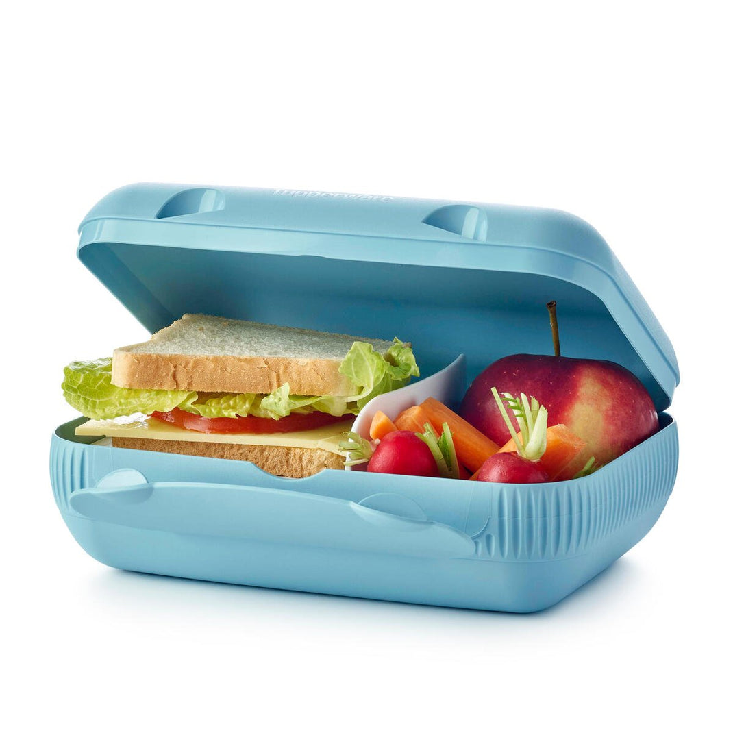 Lunch Box & Boîtes à Snacks Tupperware｜Repas à Emporter – TUPPERWARE FRANCE