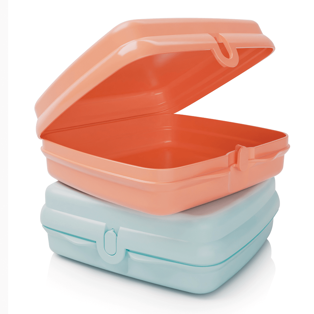 Lunch Box & Boîtes à Snacks Tupperware｜Repas à Emporter – OOBO ...